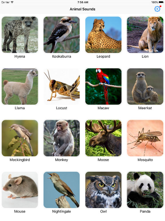 App Shopper: Animal Sounds Farm Jungle Voices Effect for kids (Lifestyle)